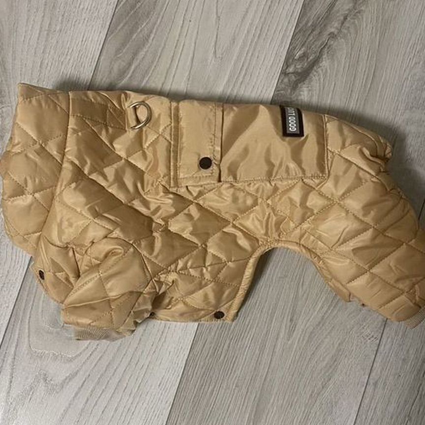 Одежда для собак