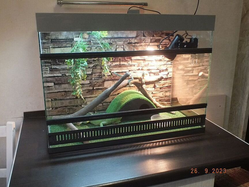 Террариум новый для рептилий