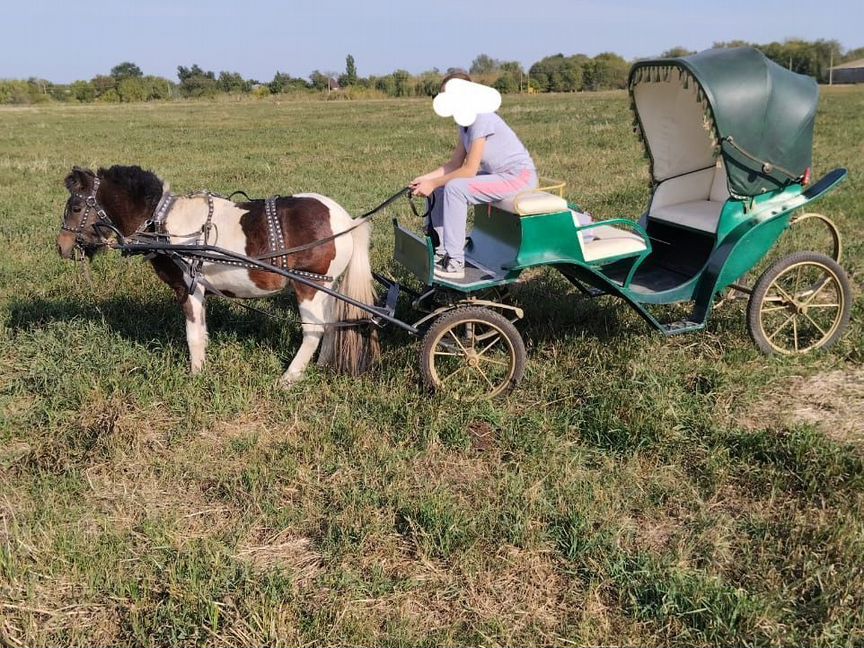 Карета для пони