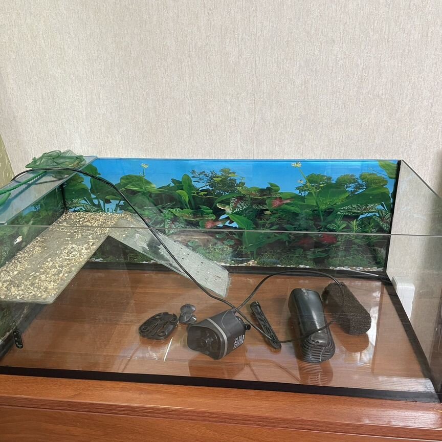 Аквариум