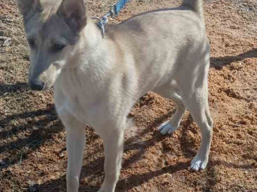 Умнейший 6 мес мальчишка