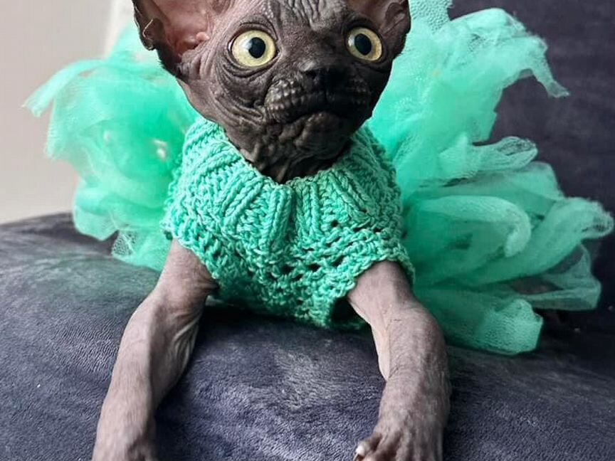 Эксклюзивная малышка