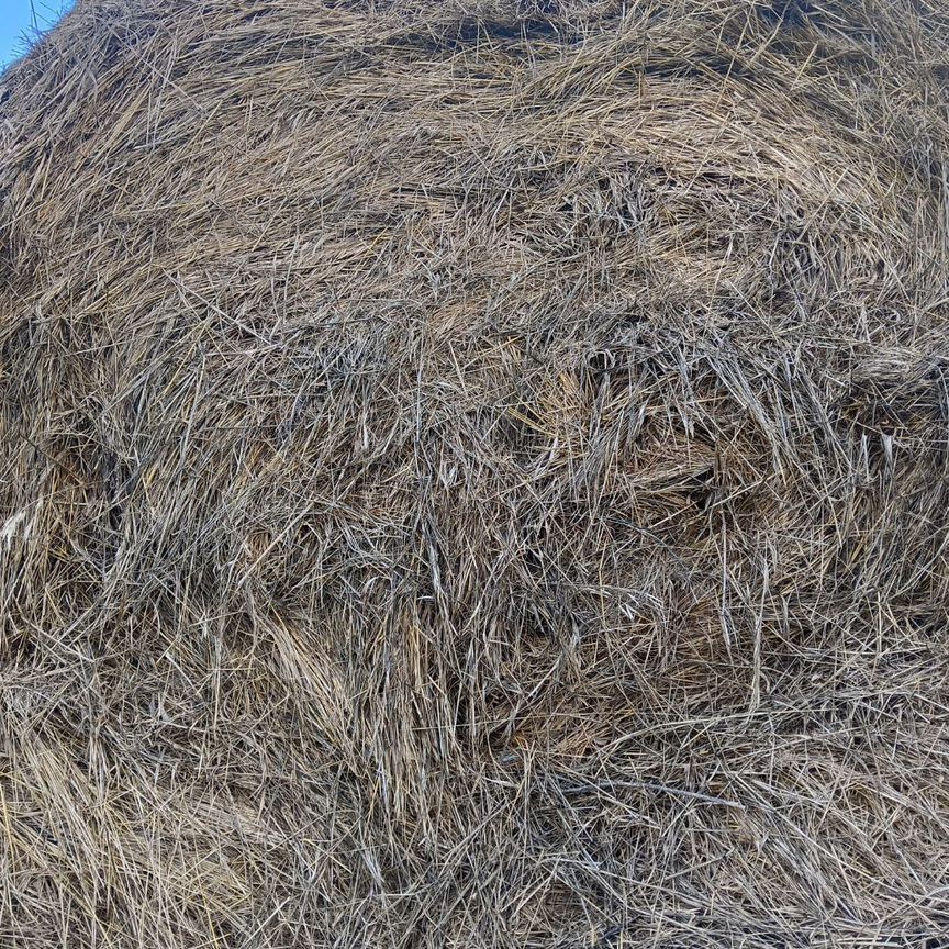 Сено в тюках