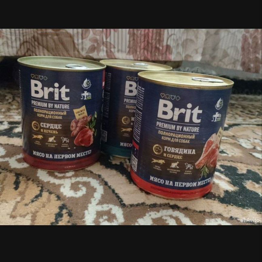 Еда для собак