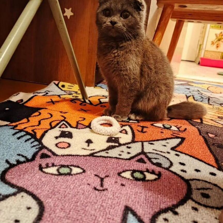 Ляля в добрые руки