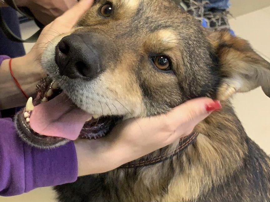 Челси ждет своего человека