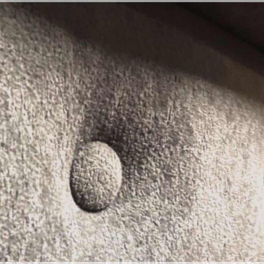 Премиум лежанка для собак