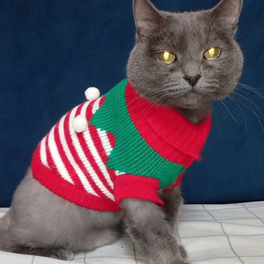 Кофта новогодняя для кошек/собак