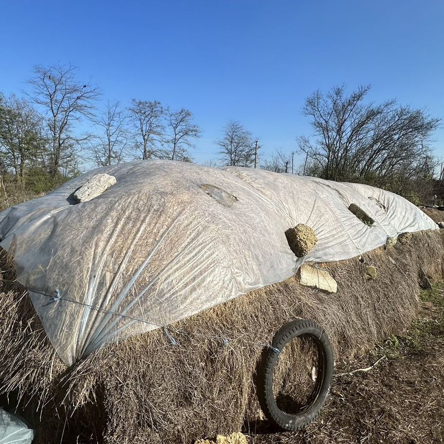 Продам сено