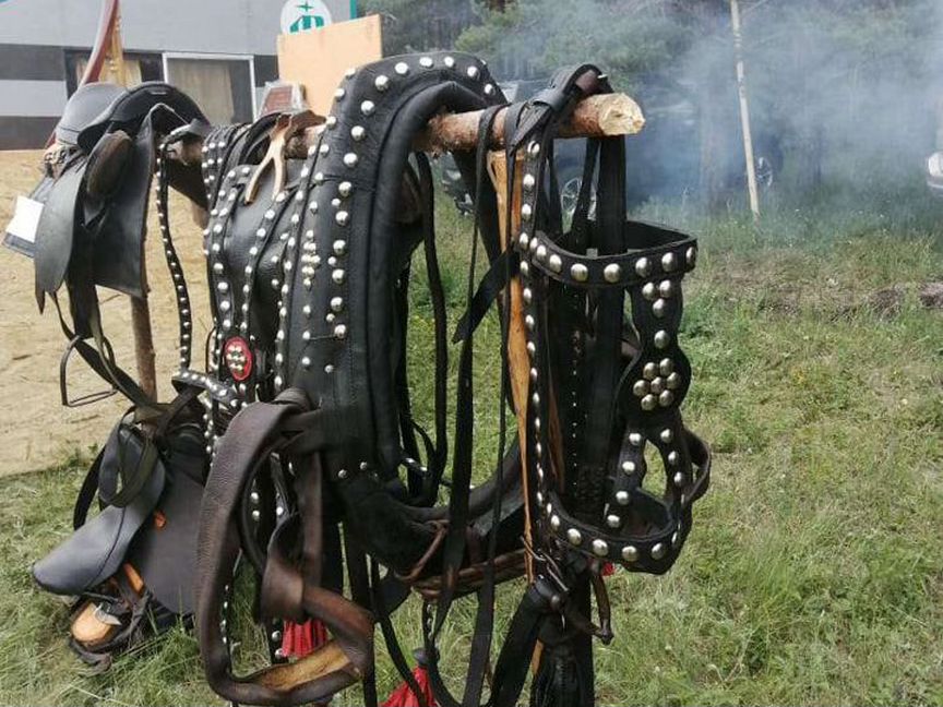 Сбруя для лошади новая