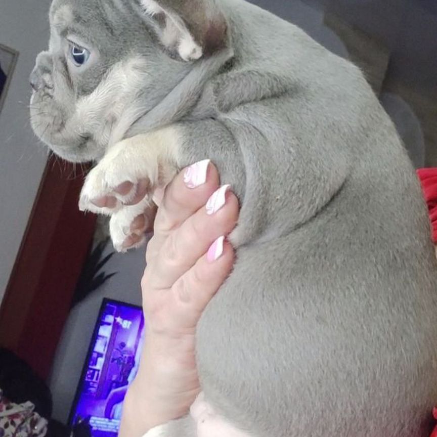 Ах какая красота mini