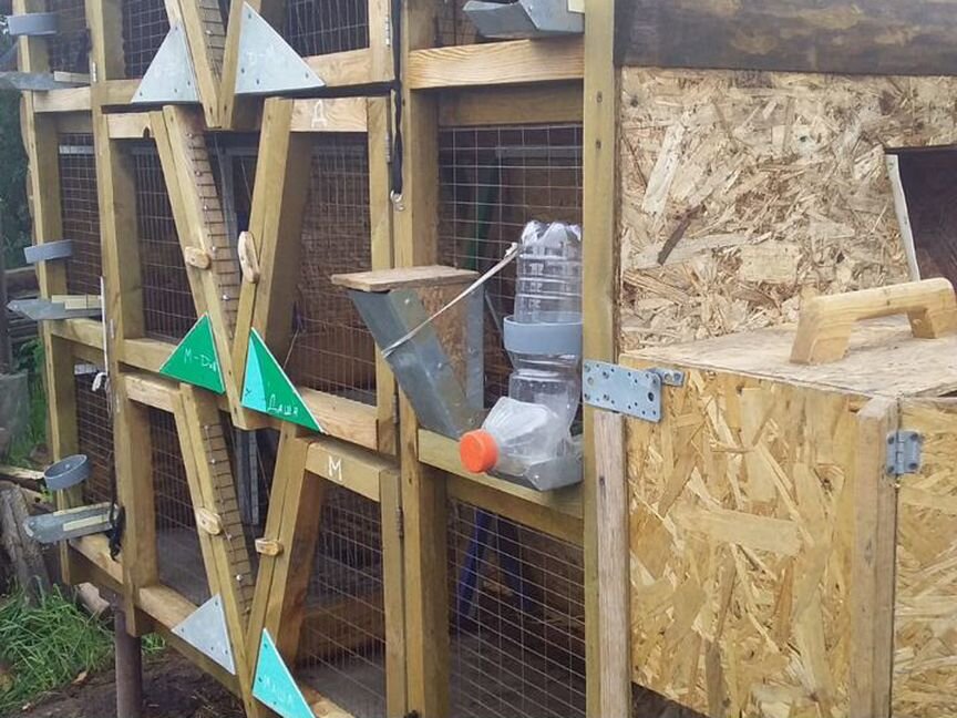 Ферма для кроликов