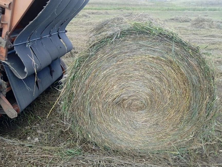 Сено, солома в тюках