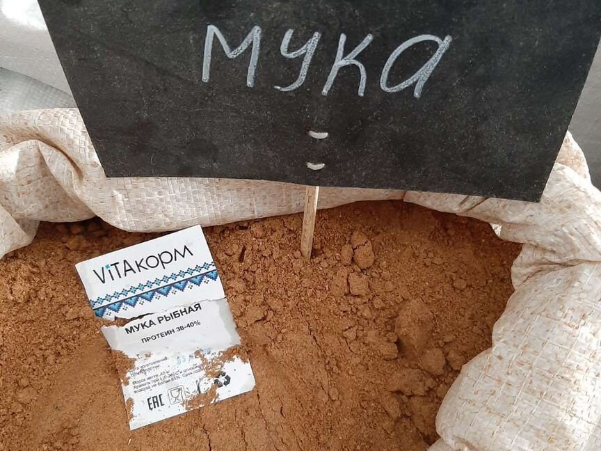 Рыбная, мясокостная мука