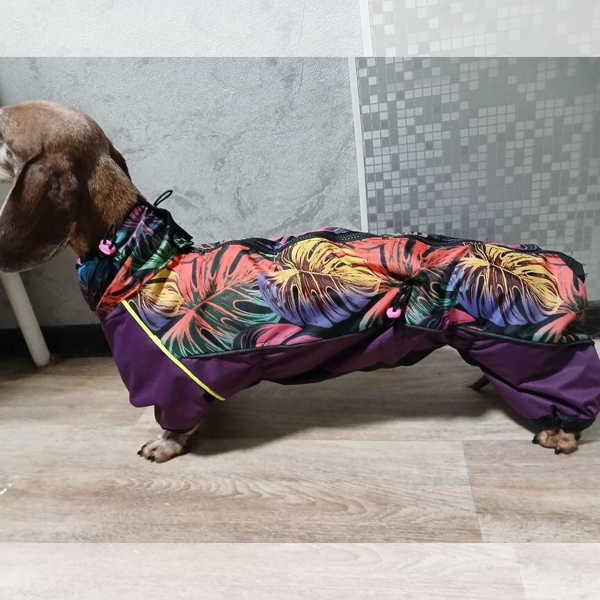 Одежда для собак мелких пород