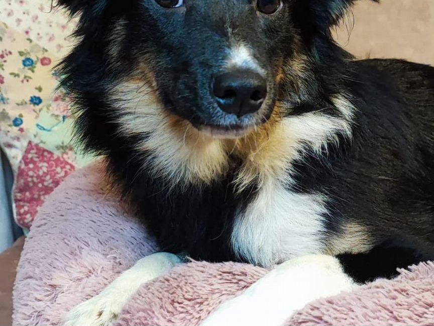 Жду мамочку