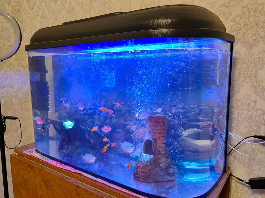 Аквариум с рыбками
