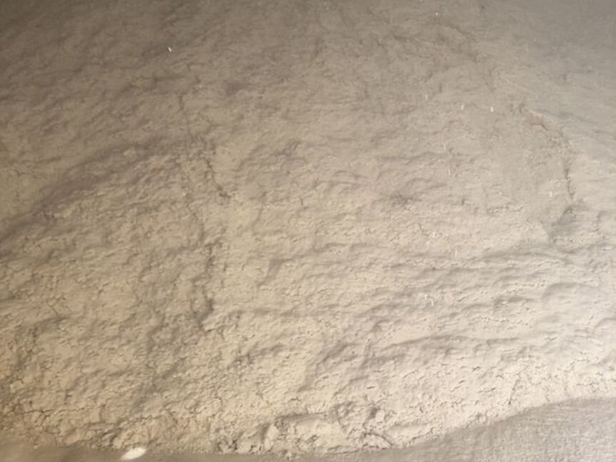 Мучка пшеничная, ячменная