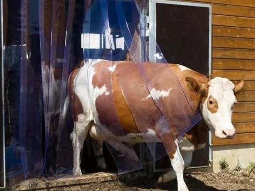 Тепловая завеса для домашних животных