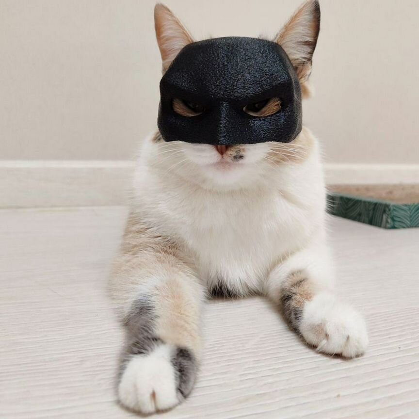 Маска Бэтмена для кота