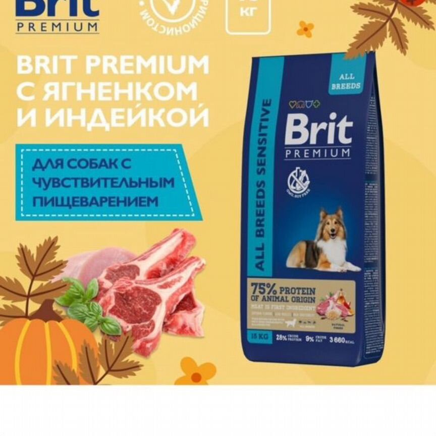 Корм для собак