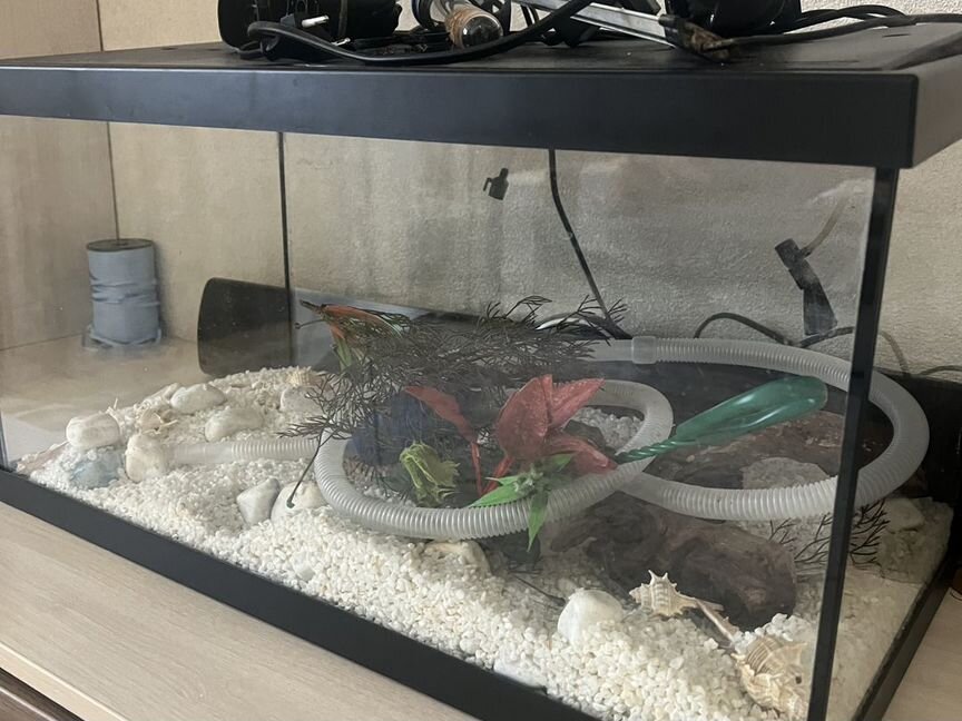 Аквариум большой бу 54 литра