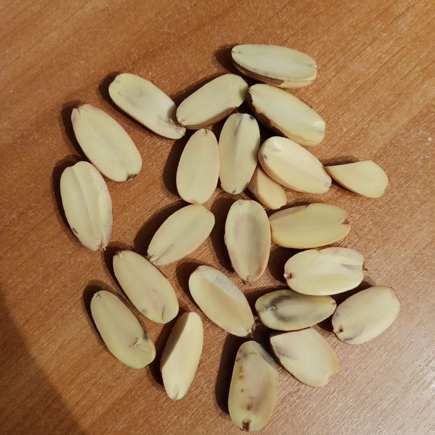 Желуди дуба очищенные