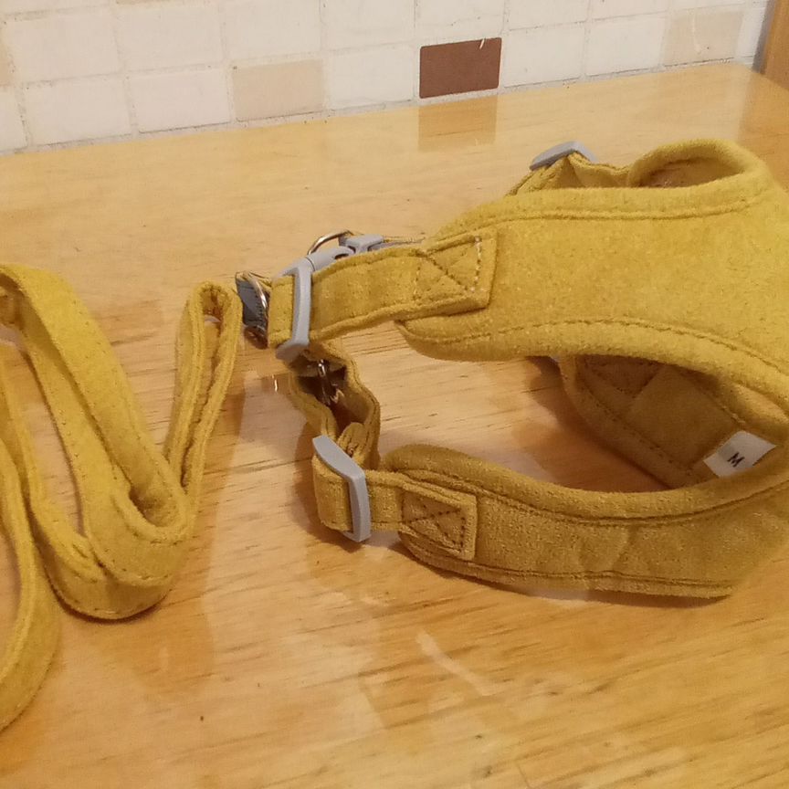 Шлейка для собаки объем 50 см с поводком новое