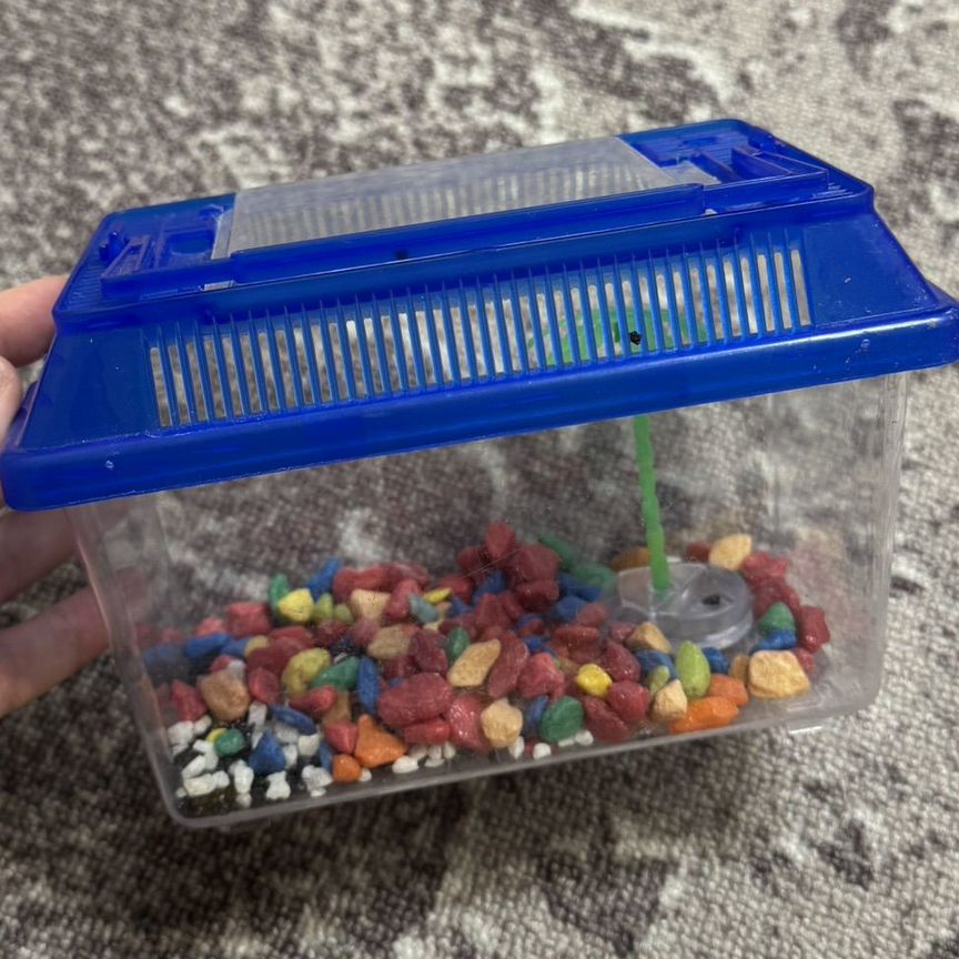 Аквариум для черепах