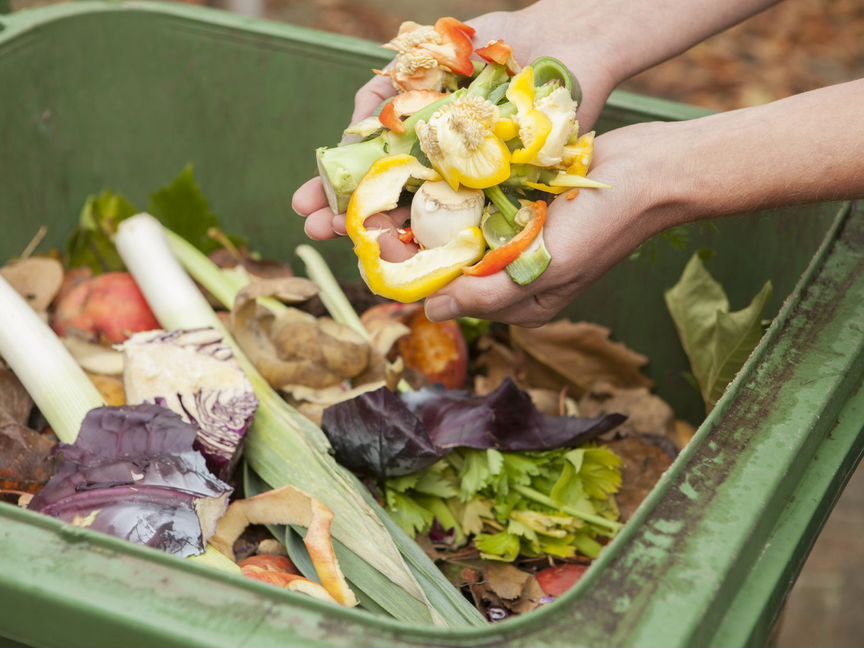 Отдам пищевые отходы для свиней