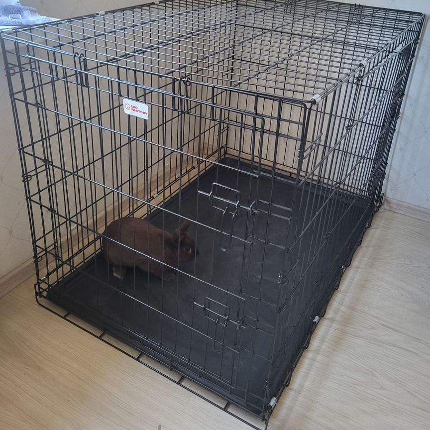 Клетка большая