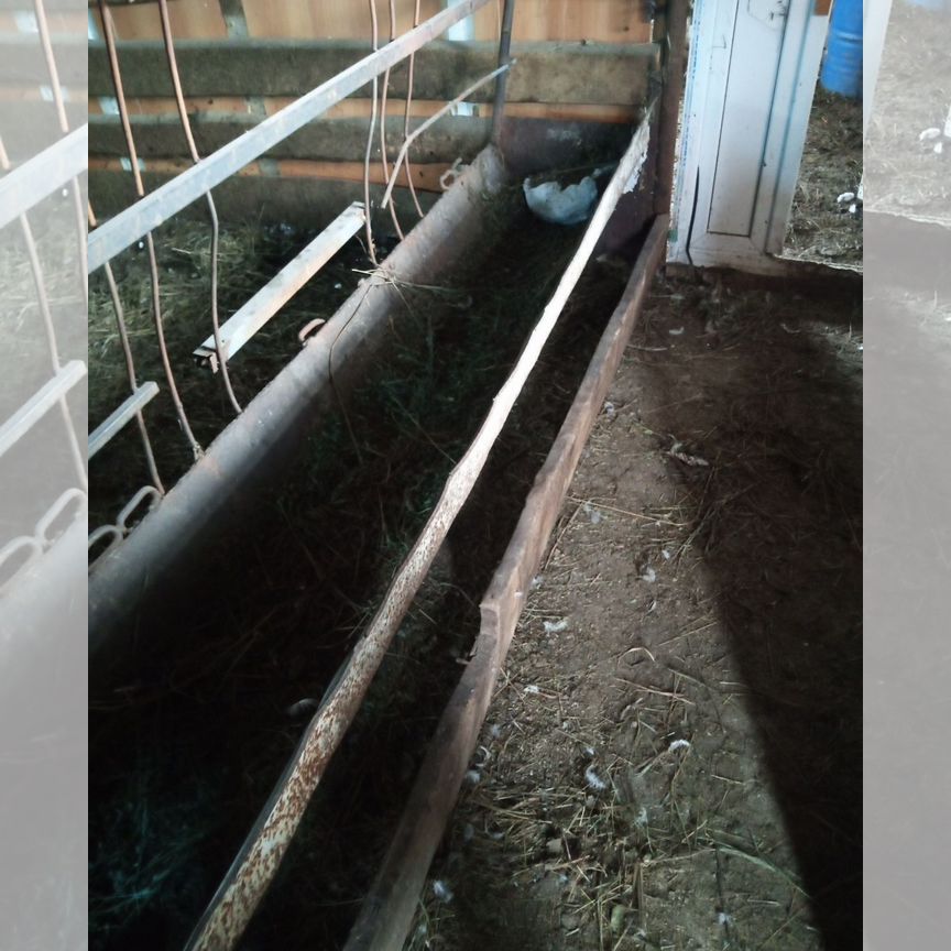 Кормушка для крс