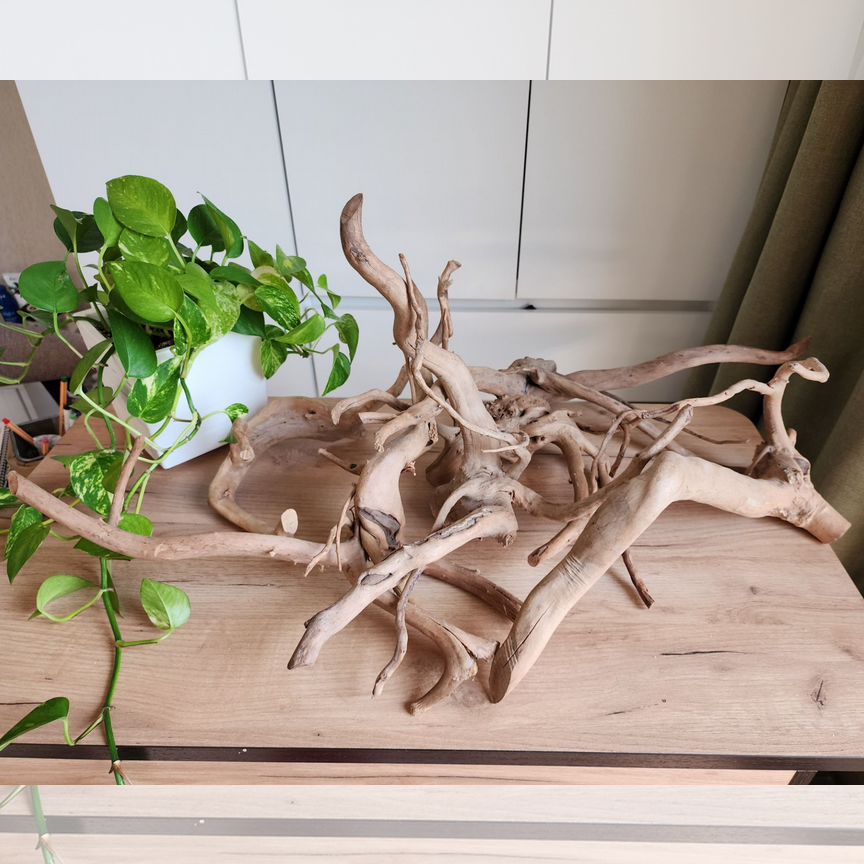 Коряги для аквариума, террариума, декор, интерьер