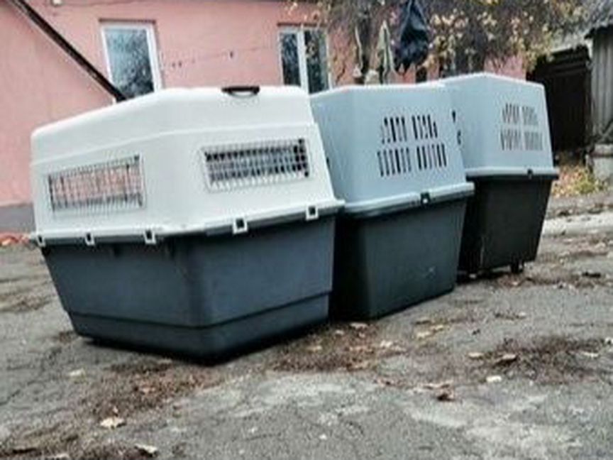 Большие переноски для огромных собак