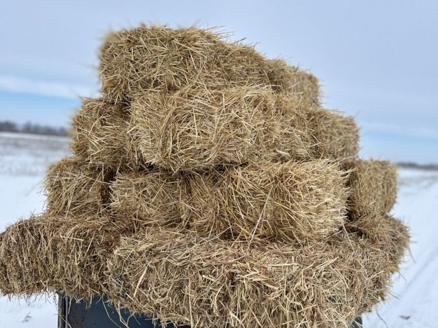 Солома в тюках