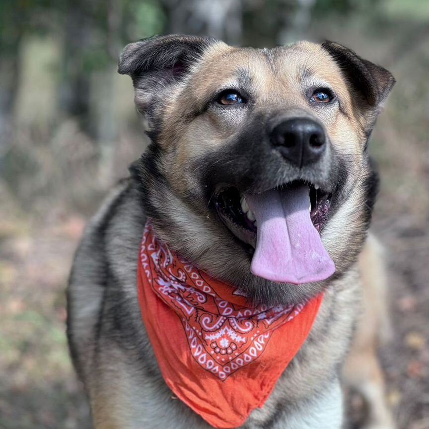 Лампа в добрые ручки