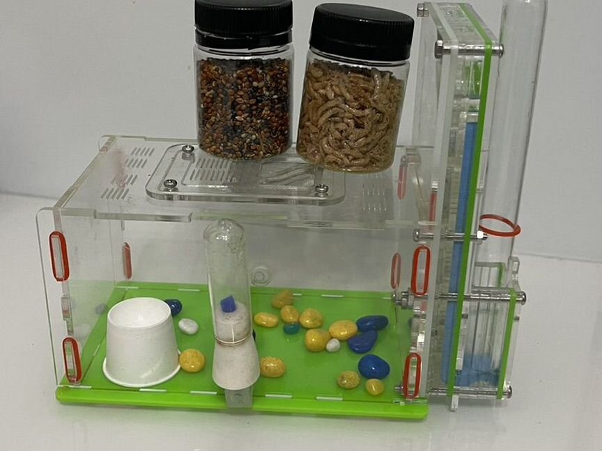 Муравьиная ферма без муравьев