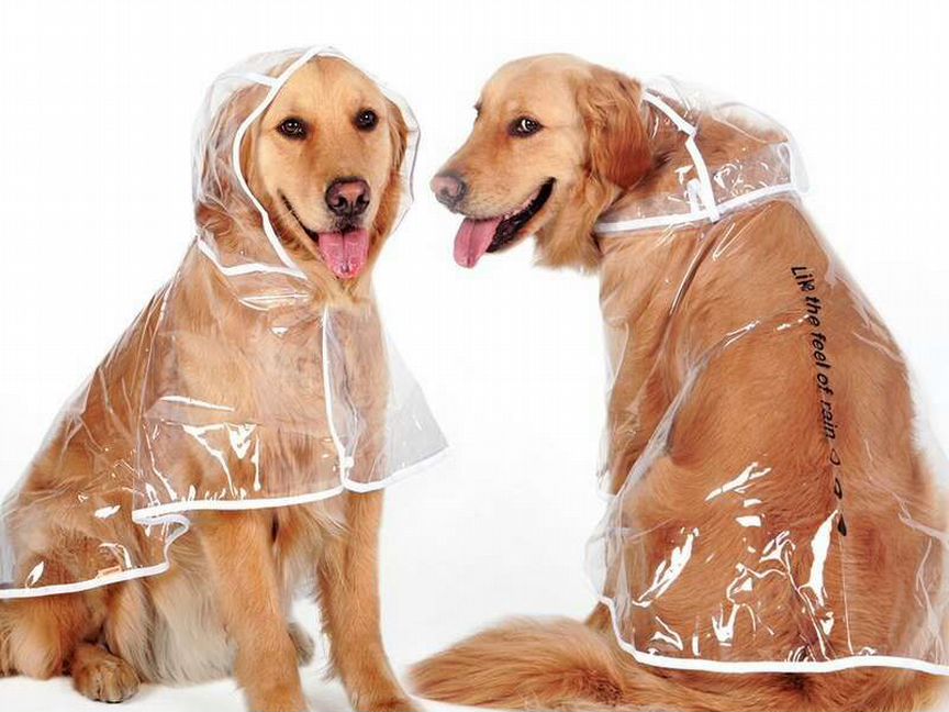 Плащ для крупных собак,дождевик