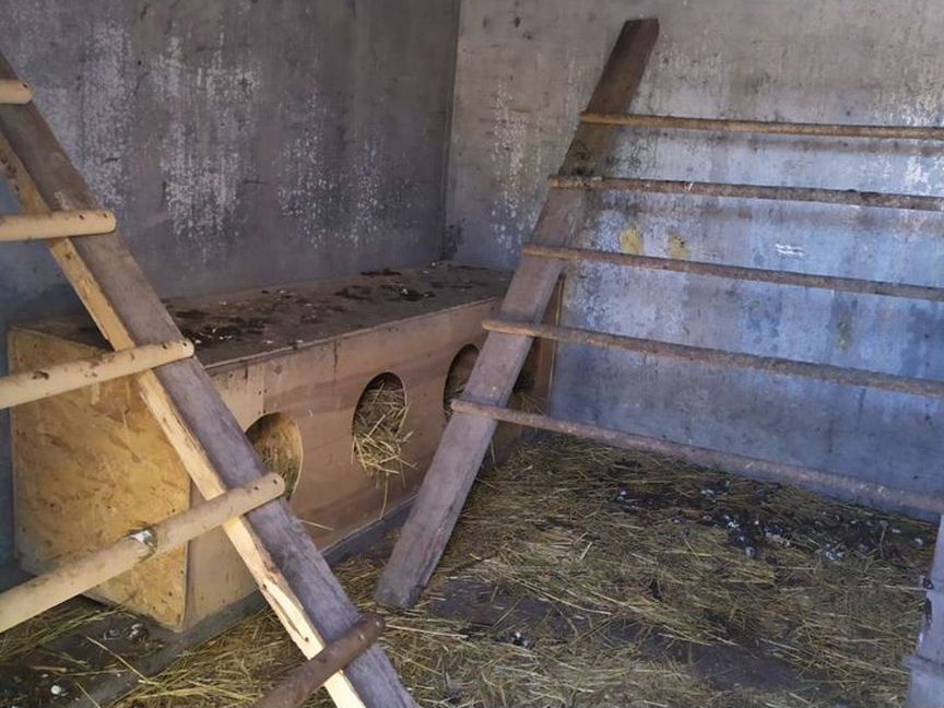 Курятник теплый
