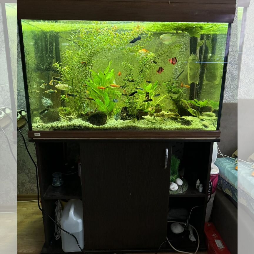 Аквариум с тумбой 300 литров