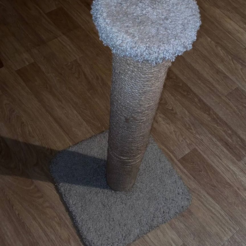 Когтеточка для кошек