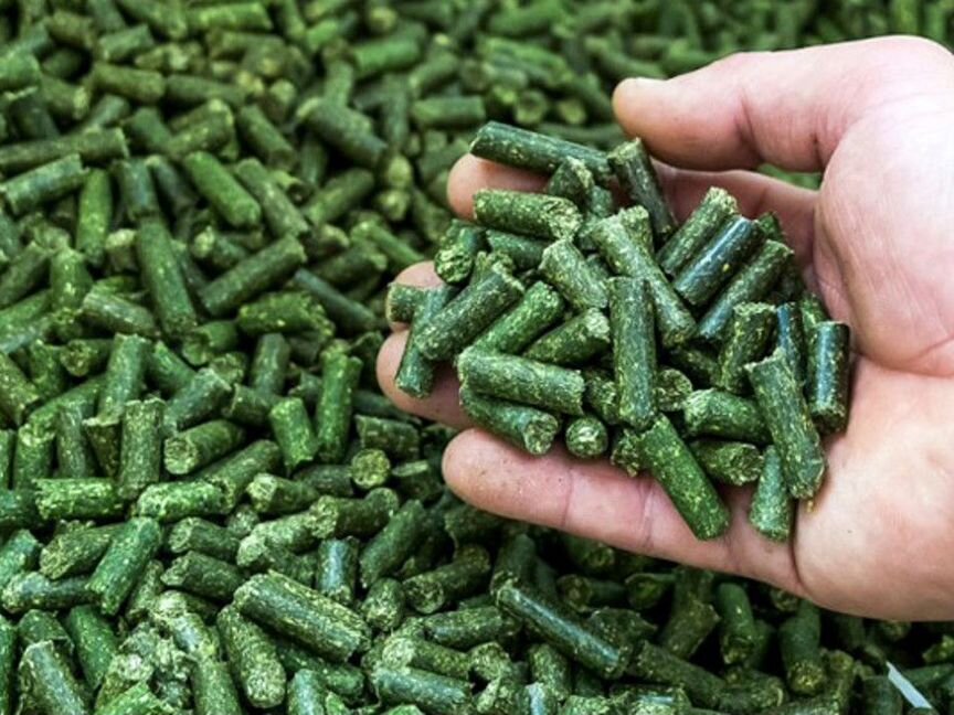 Люцерна гранулированная