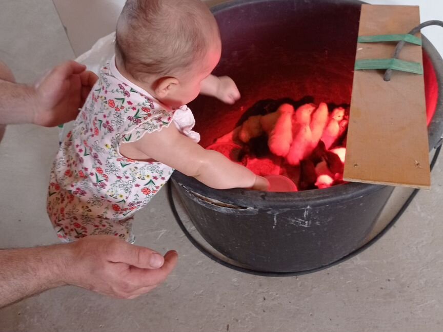 Птенцы суточные 80р