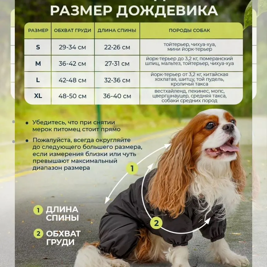 Дождевик для собаки
