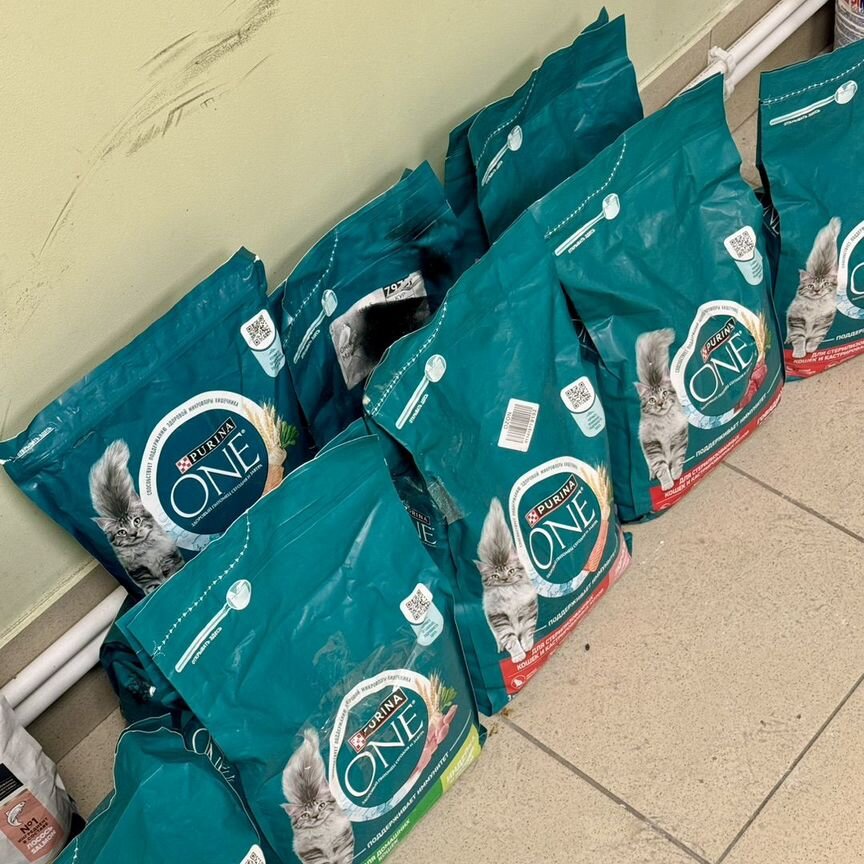 Корм для кошек пурина one новые оригинал