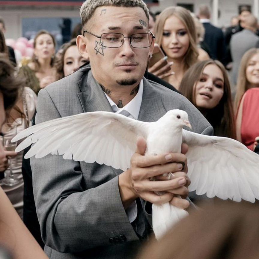 Голуби