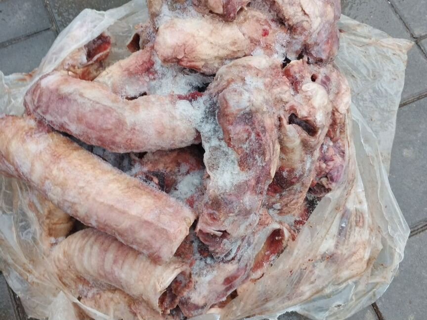 Мясо для животных