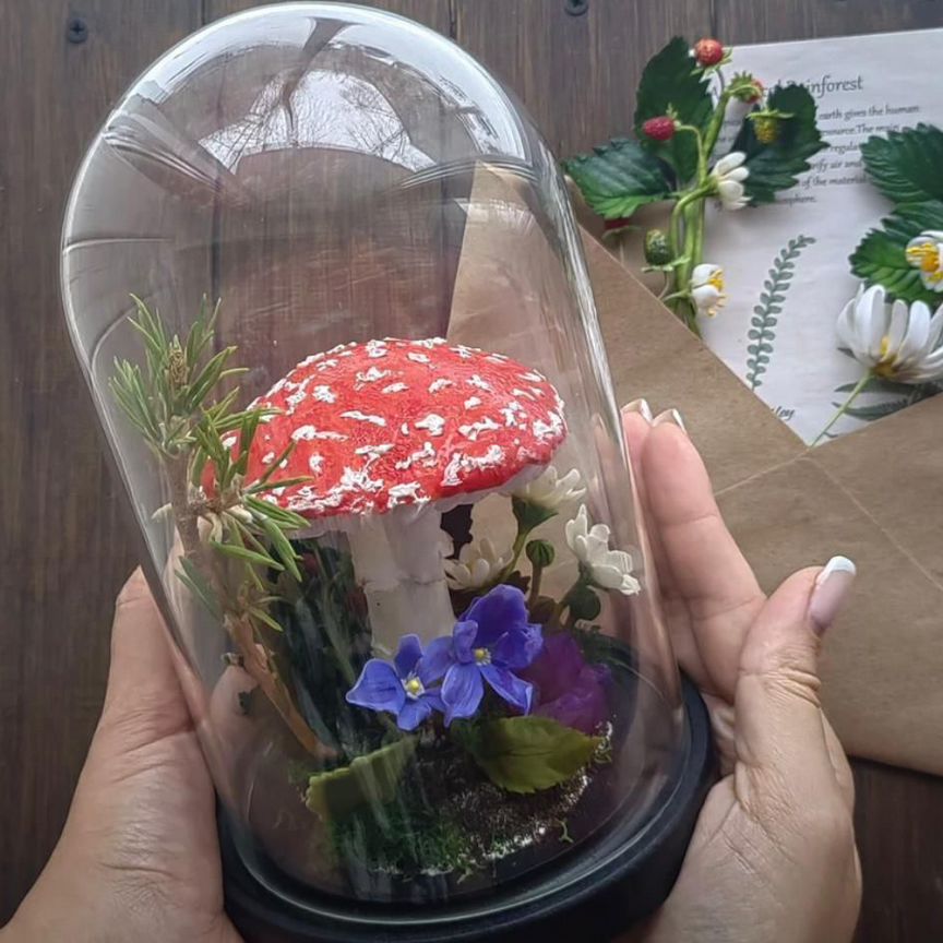 Стеклянный клош купол