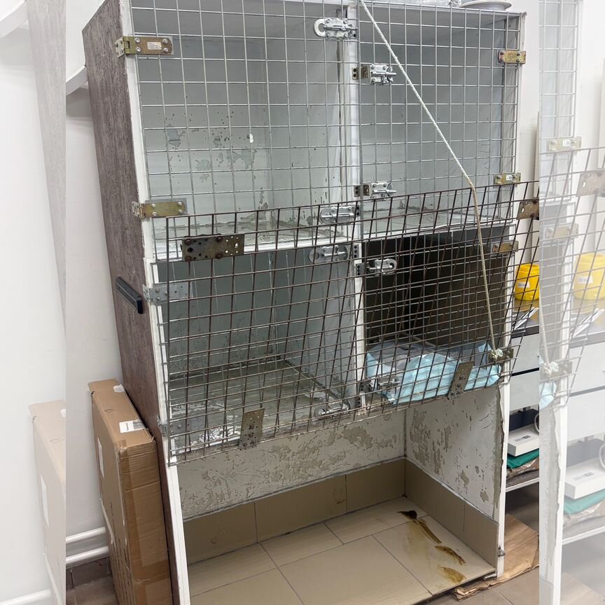 Стационар клетки для животных