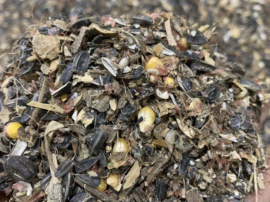 Зерно смеси